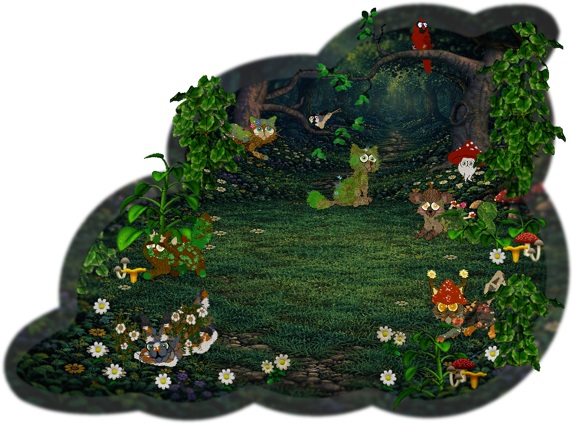 oasis version twenty three